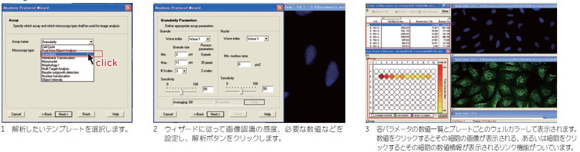 IN Cell Investigator