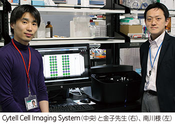 【Cytell Cell Imaging Systemお客さまの声】非RIの系を用いた細胞障害活性測定