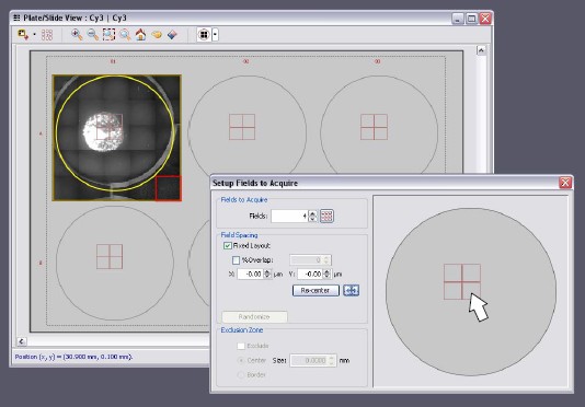 IN Cell Analyzer 2000を用いた細胞シートの血管形成評価